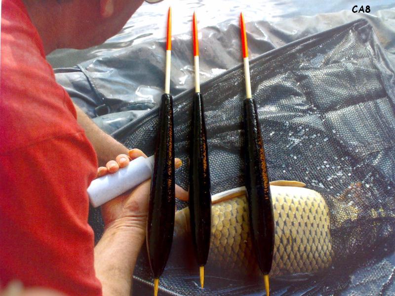 plutedepescuit: plute de pescuit la caras si crap