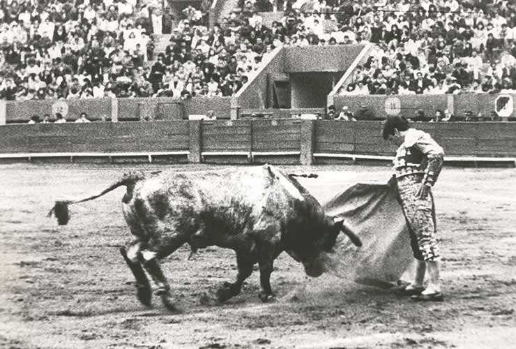 Hasta el rabo todo es toro: Se dan clases de toreo puro