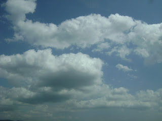 ružičasti dupin: OLUJNO NEBO