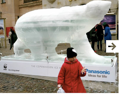 >The Ice Bear Project - FTCMag