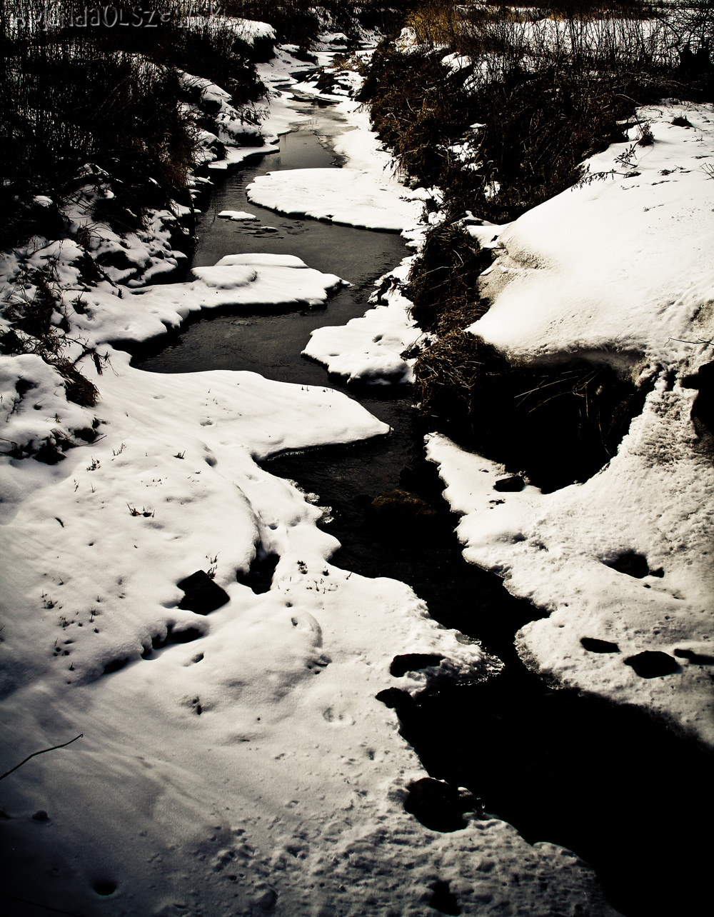 Amanda Olszewski ::: Photography Enthusiast