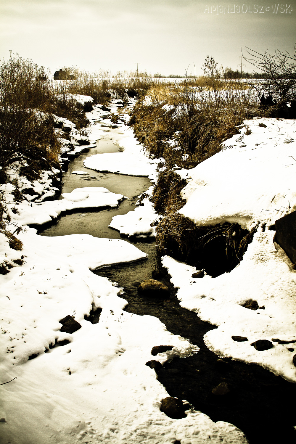 Amanda Olszewski ::: Photography Enthusiast