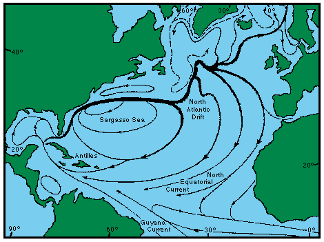 MitchellSavage: Gulf Currents