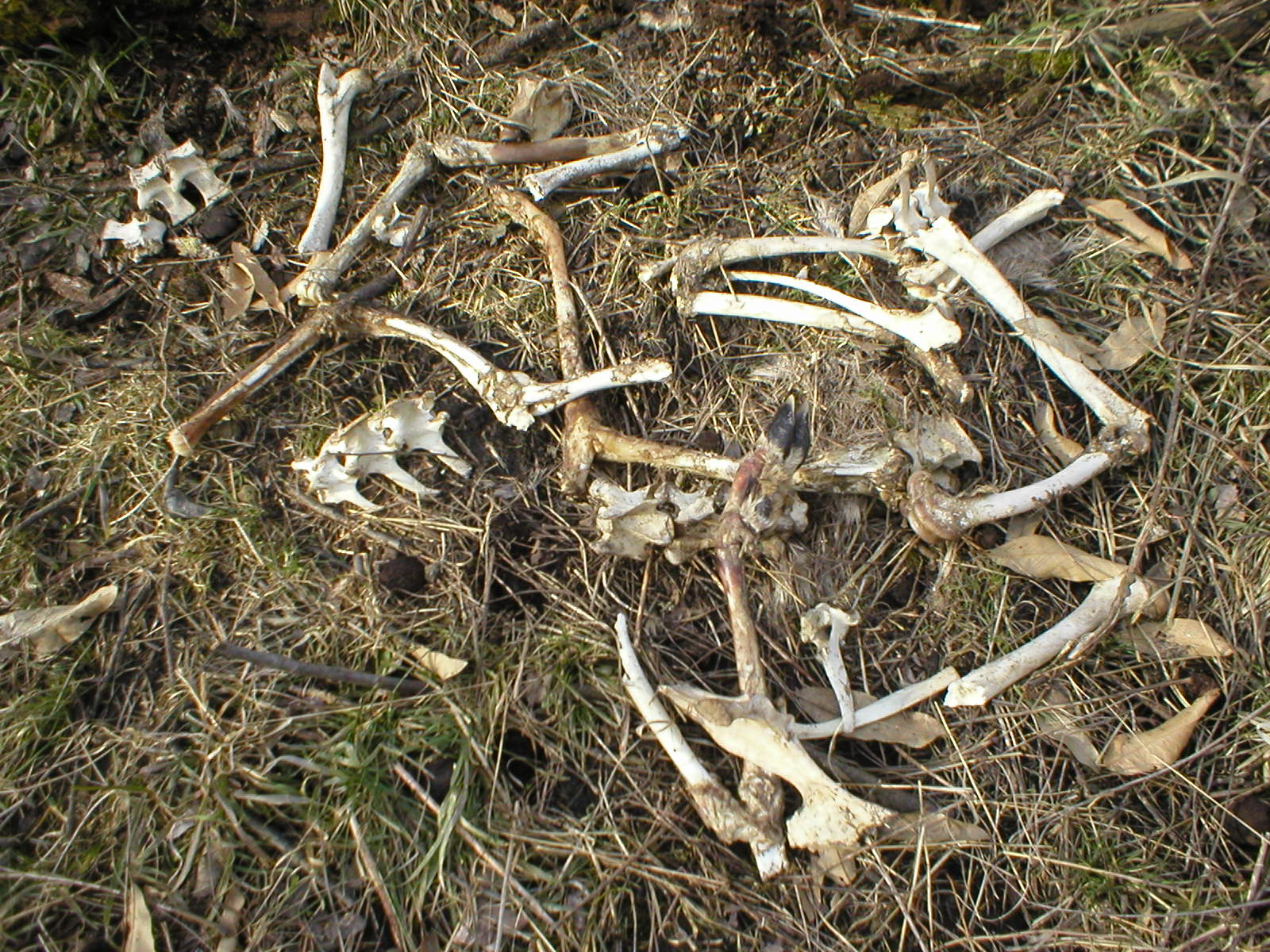 Hhop's Nature Walk: Nature's Life Cycle