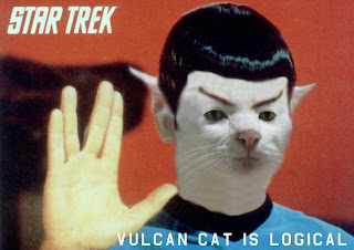 FARK.com: (5225749) Vulcan cat named Spock discovered at animal shelter ...
