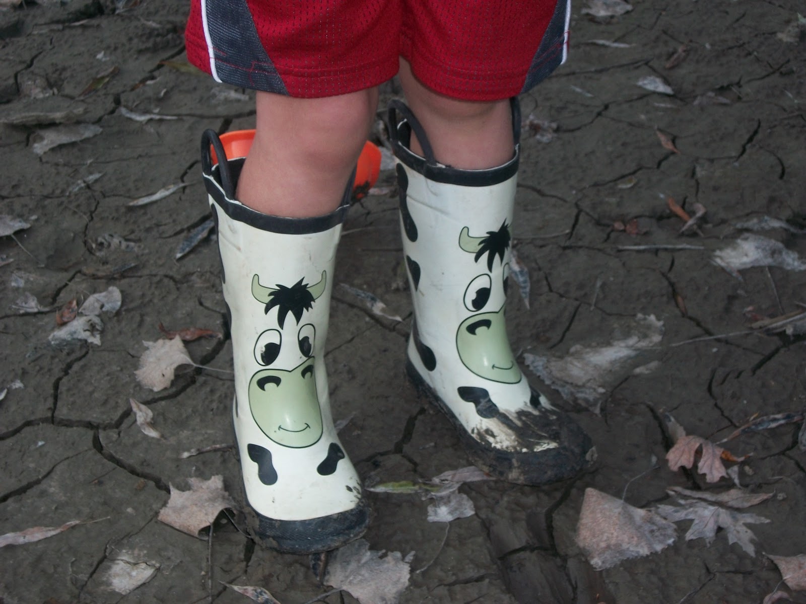 Love in All Seasons: Stepping into the Mess - Alicia Bruxvoort