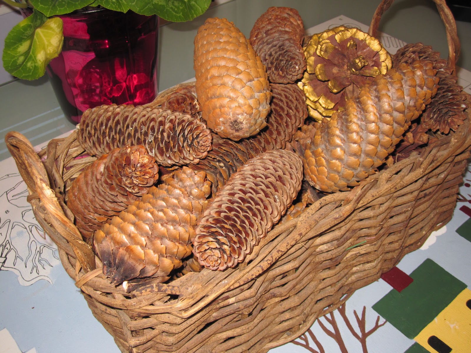 Barb's Decorating Tips: Gathering Pine Cones