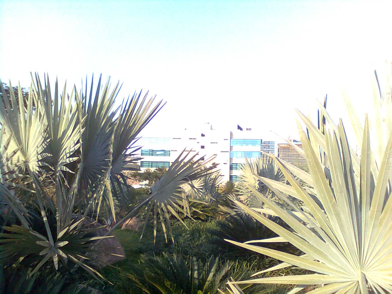 All About Kondapur: Nvidia Hyderabad Development Centre