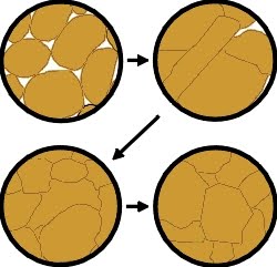 Biologia e Geologia 11: Formação das rochas sedimentares