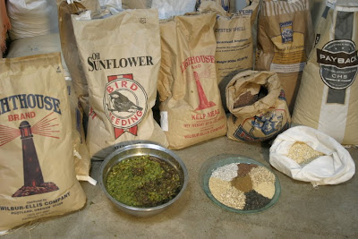 Seedyeggs: Mixing up the Vitamins