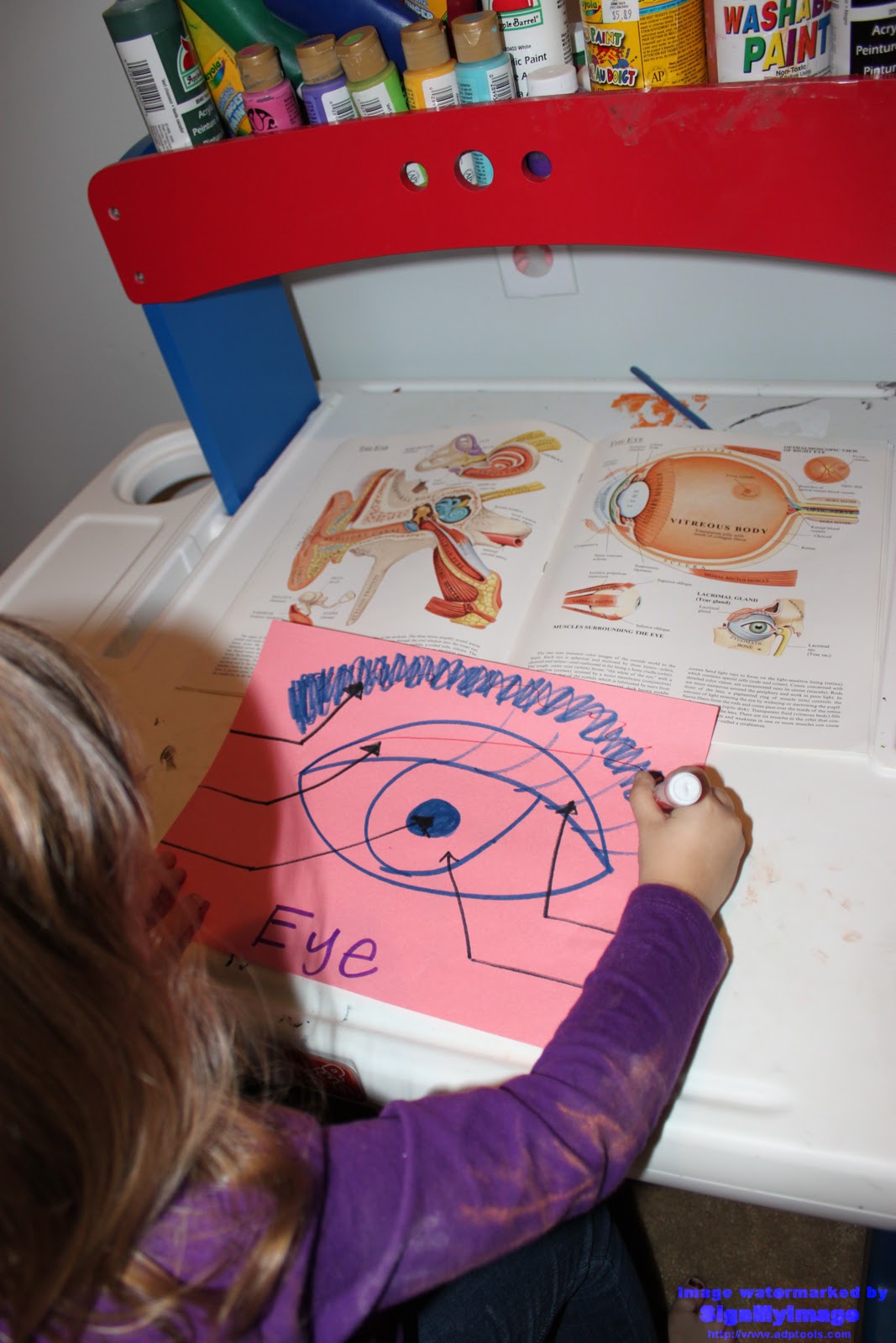 I'm Bloggin': Human Body Week (Featuring The Senses): Revisited 1/3-1/7