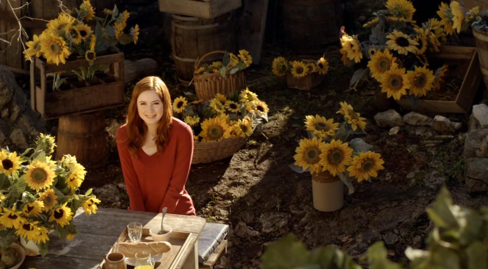 The Inside Trekker: Doctor Who 5.10 Vincent and The Doctor Review