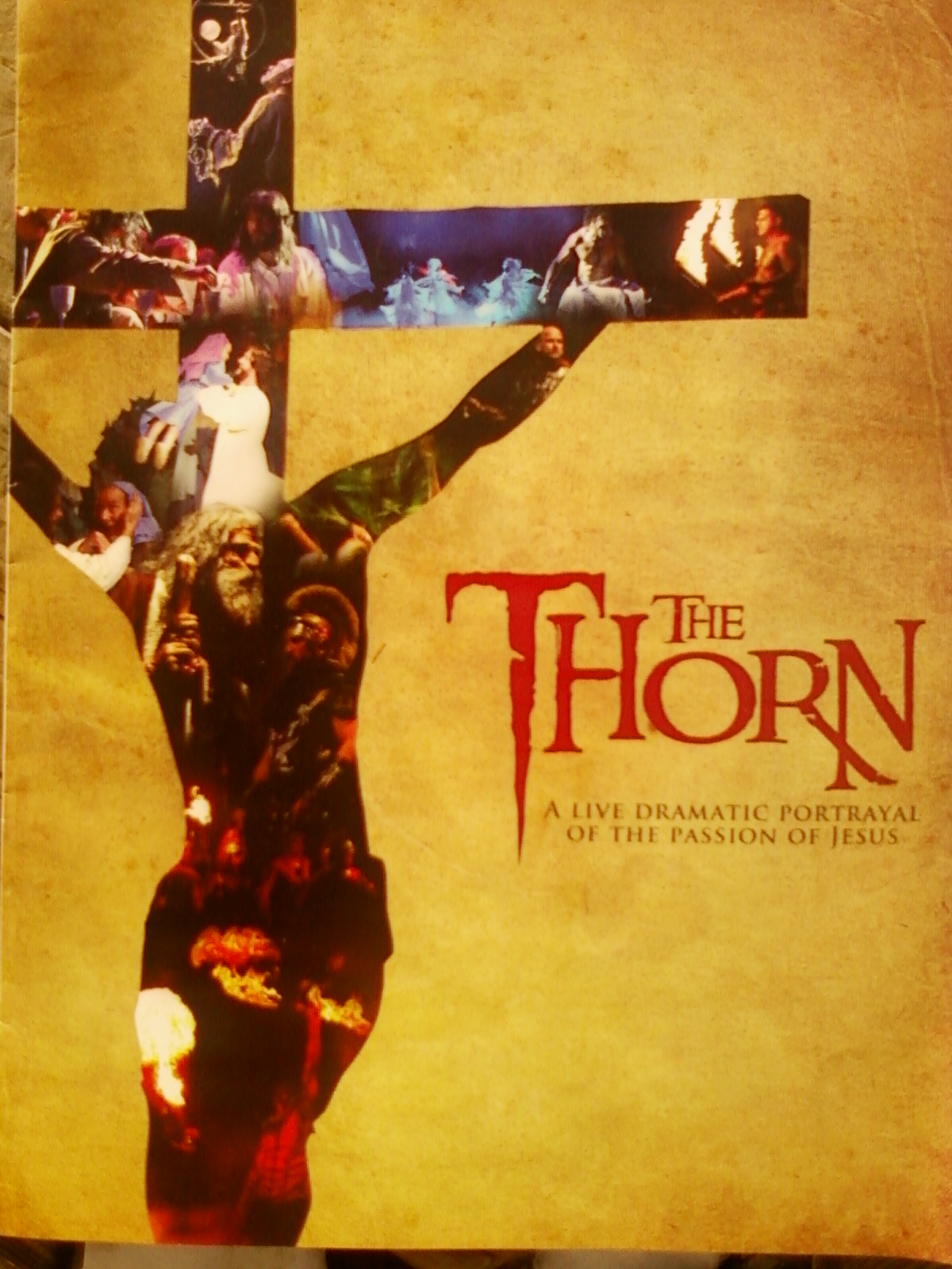 Tina's 40 Best Things About Being 40: #8 - The Thorn