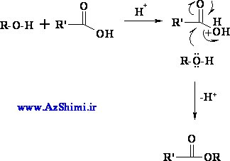 Detachment and indentify of organic compound: Schotten-Baumann Reaction ...