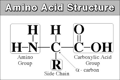 Detachment and indentify of organic compound: Copper Complex Formation ...