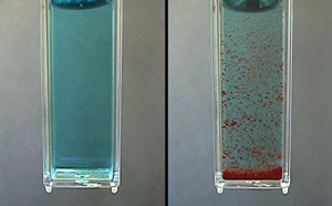 Detachment and indentify of organic compound: Barfoed's tests for ...