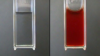 Detachment and indentify of organic compound: Seliwanoff's Test