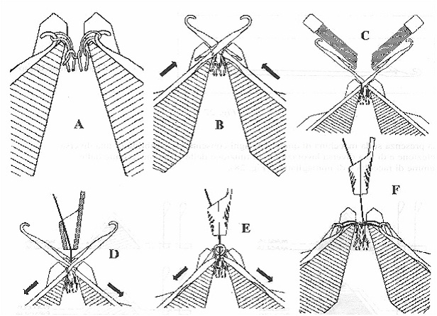 Fabric Club Of BD: Types of knitting Loop