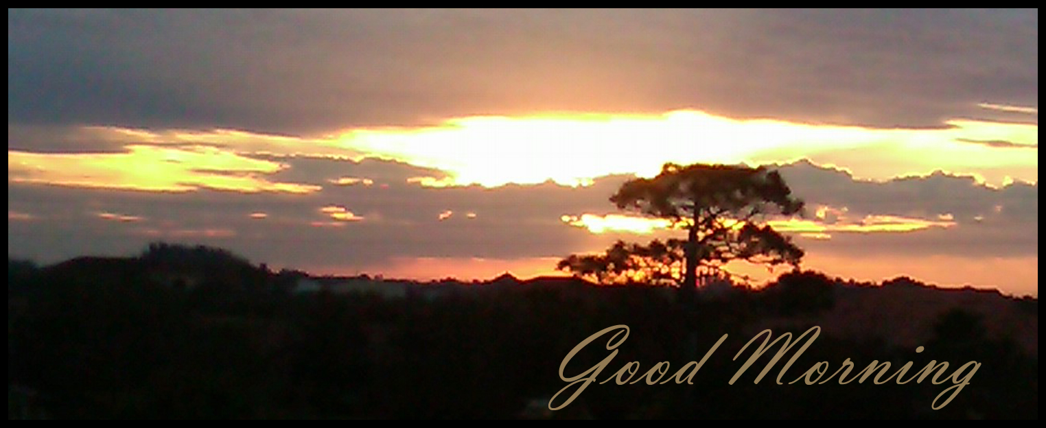 Gambar Good Morning Sunshine Quotes ~ Wallpaperoi