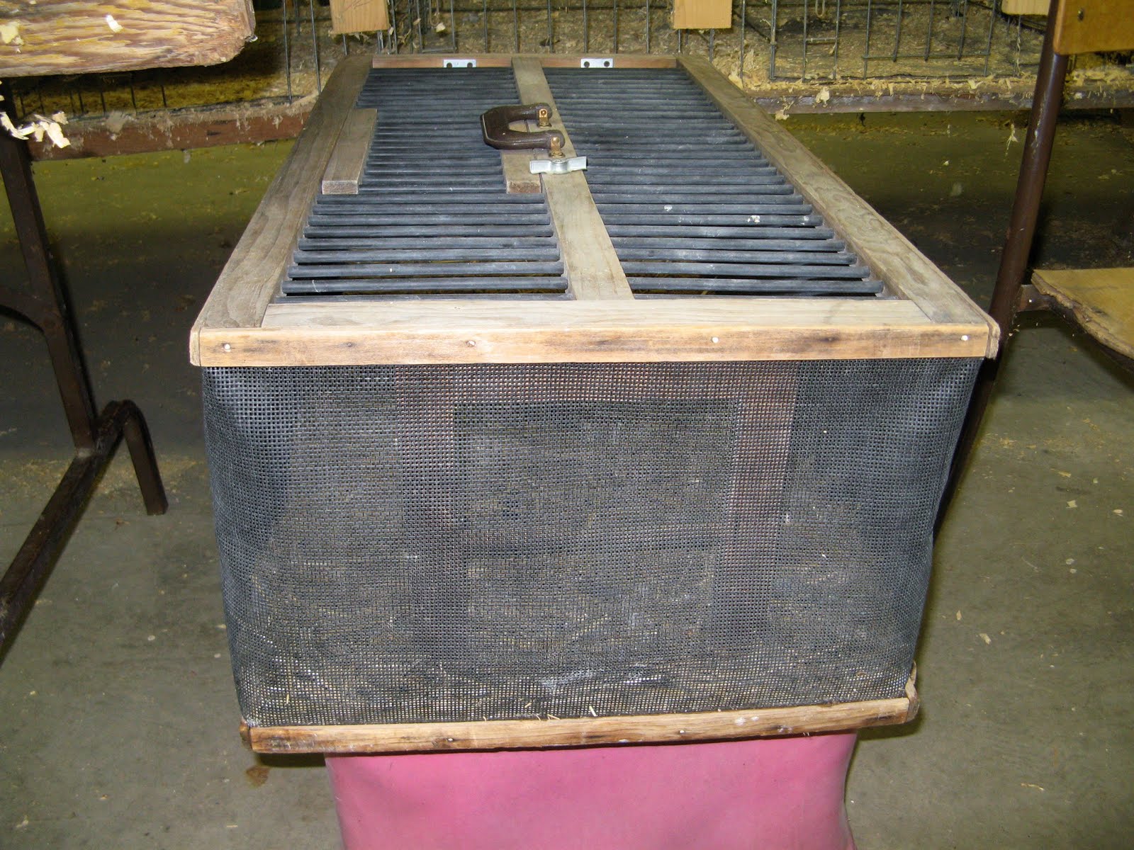 My Beginnings with Racing Pigeons: Virtual Loft: Old Bird Shipping Night