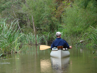 Chipola River Paddling: Where to Rent a Canoe or Kayak