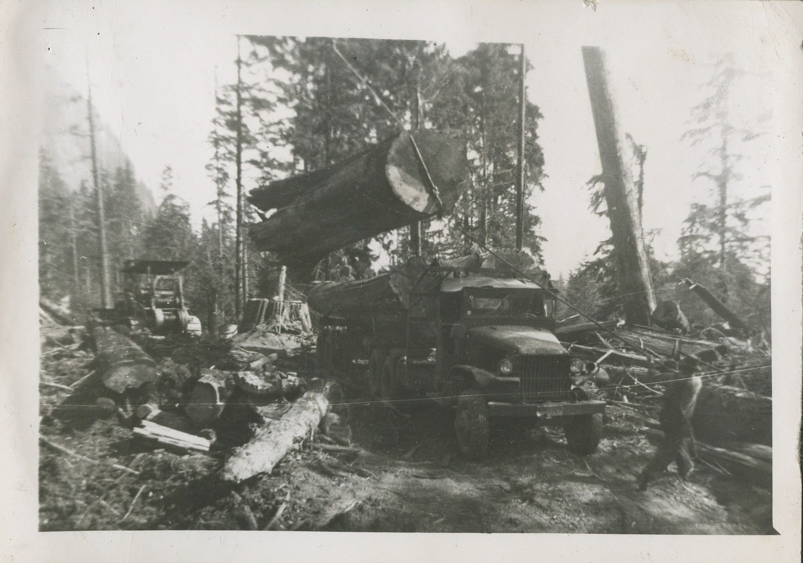 My Tangled Vine: Sepia Sunday: Proctor Logging Camp in Washington State ...