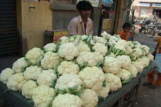 BHATI N : PHOTO JOURNALIST: falavar 10 kg photo bhati n wankaner
