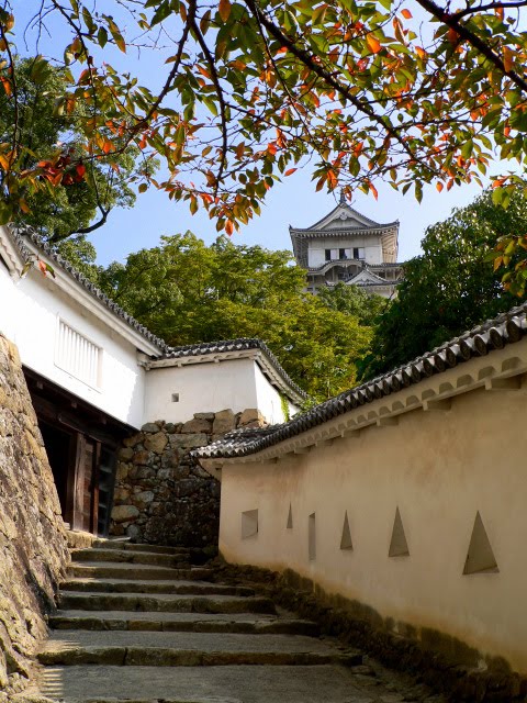 Japanese Ties: Himeji-jo... The Caged Bird