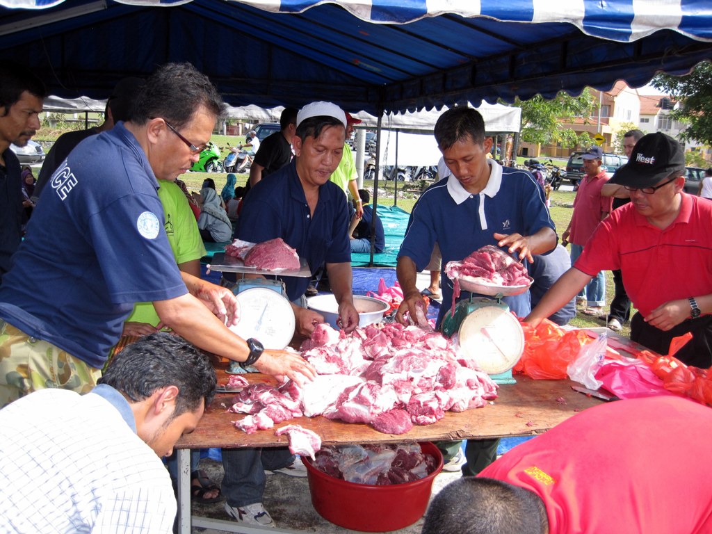 Once a Sdarian...: Ibadah Korban