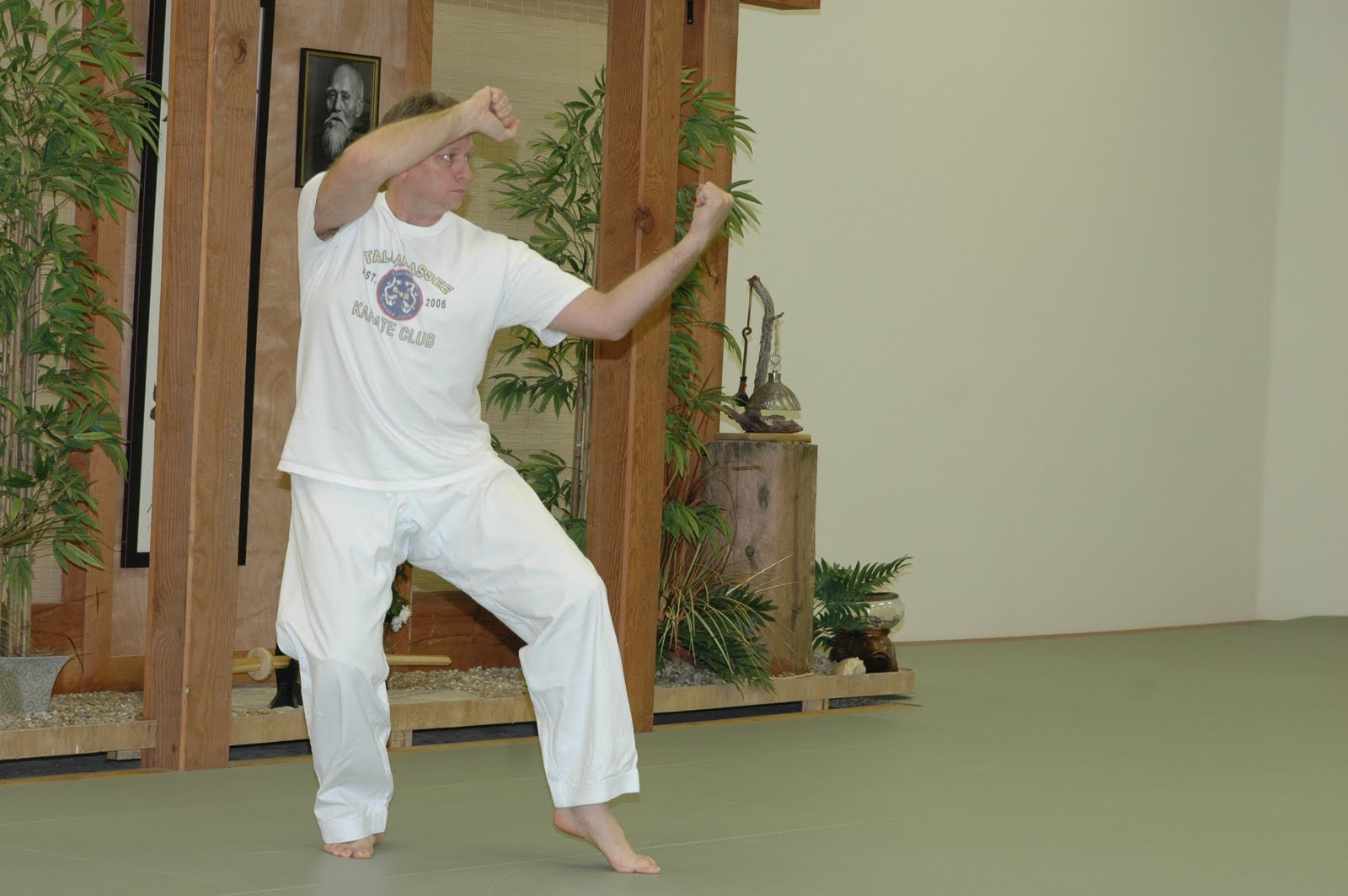 Tallahassee Karate Club: The Kata we Practice: Pinan Shodan
