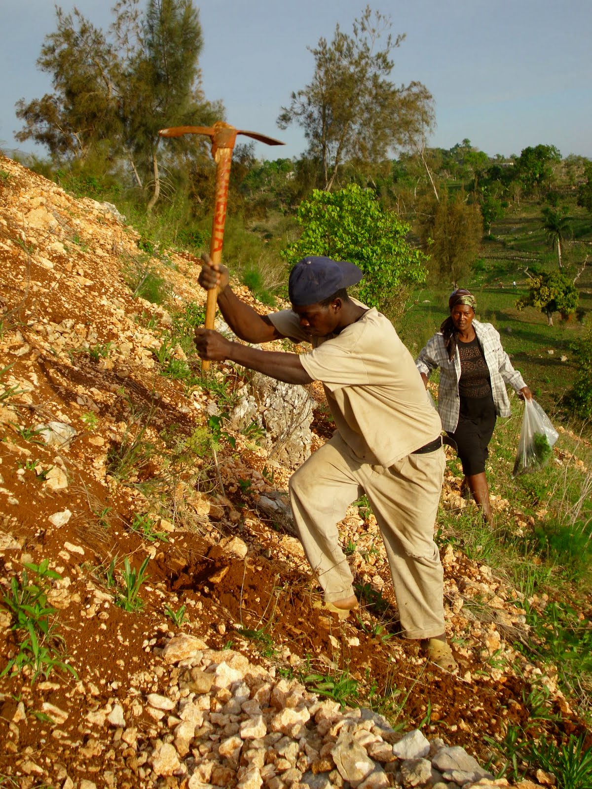 Plant With Purpose: A Visit to Fonds-Verrettes, Haiti