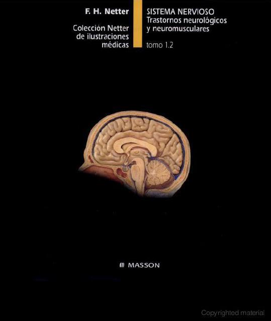 Portal Del Kinesiologo Moderno: Netter - Sistema nervioso - transtornos ...