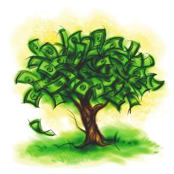 Investoholic: Does money grow on trees?