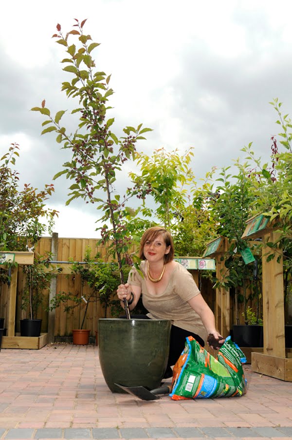 Phil Dowding PR: client news: August 2010