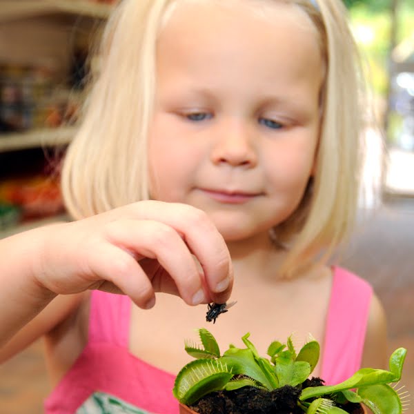 Phil Dowding PR: client news: August 2010