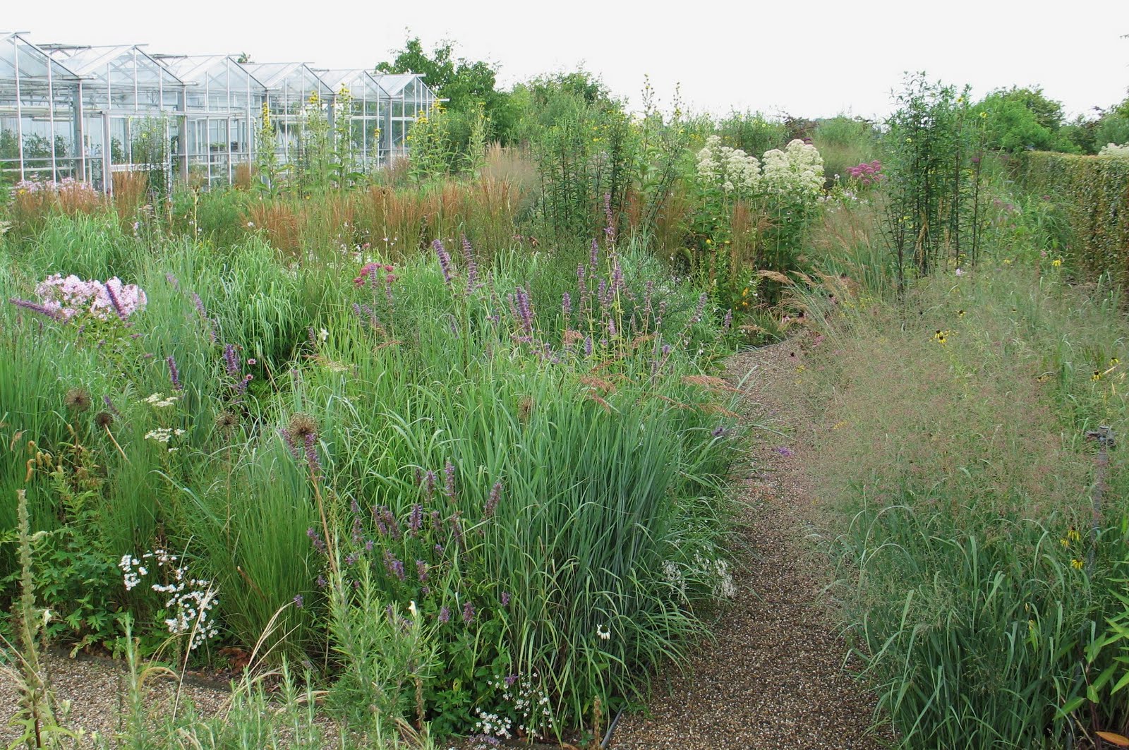 Biotope Design: The Private Prairie Style Garden