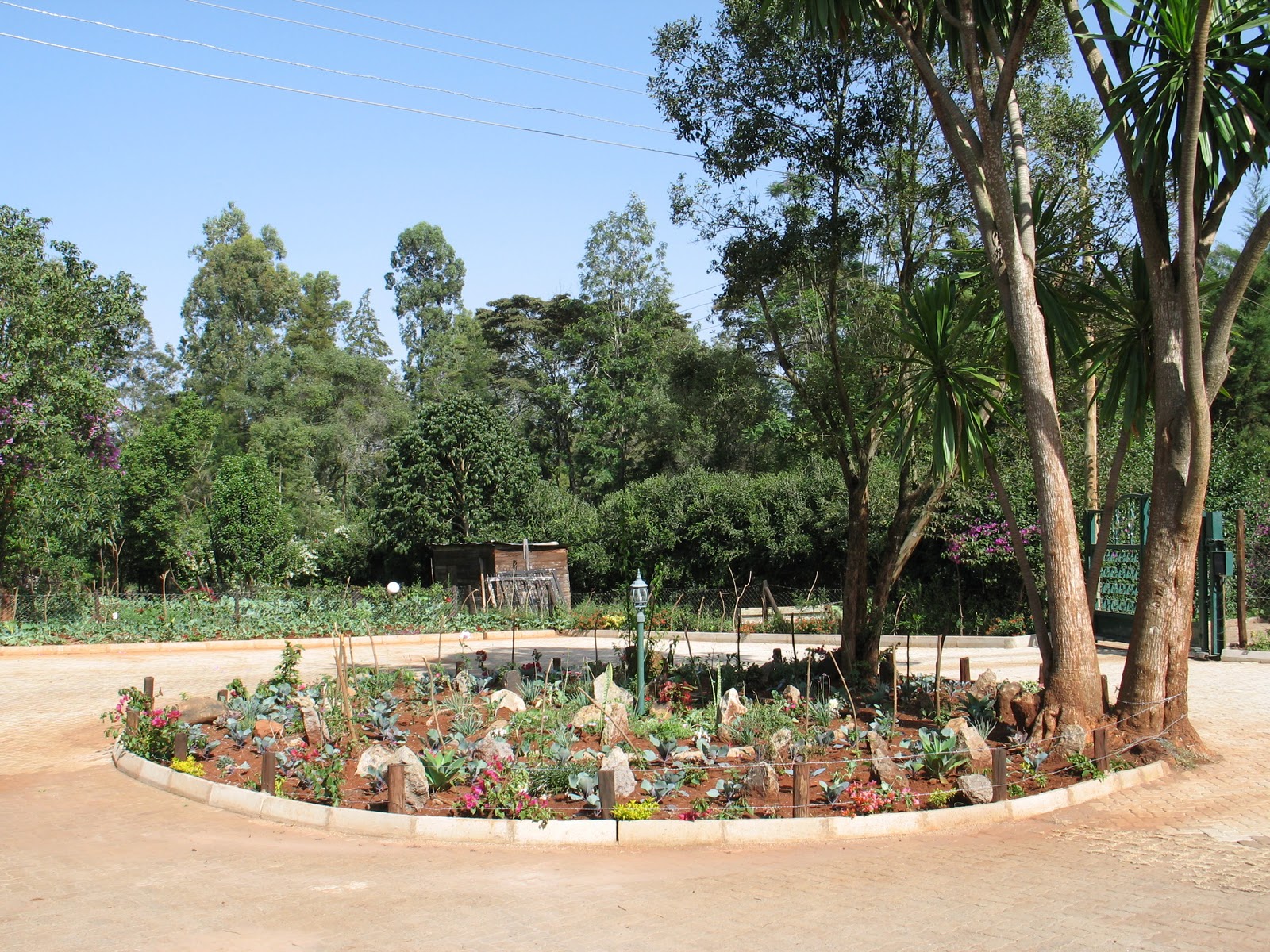 Biotope Design: A Private Roundabout