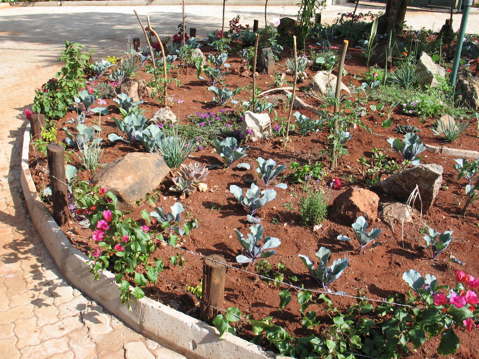 Biotope Design: A Private Roundabout