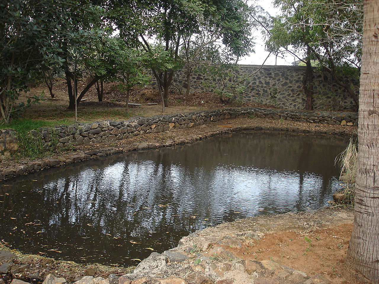 India Photos for Free Download: An Indian Village