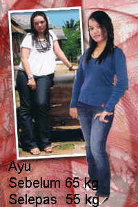 ::HERBA PRIMA MARKETING::