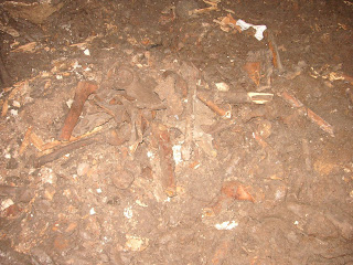 Kuru: cultural heritage and community