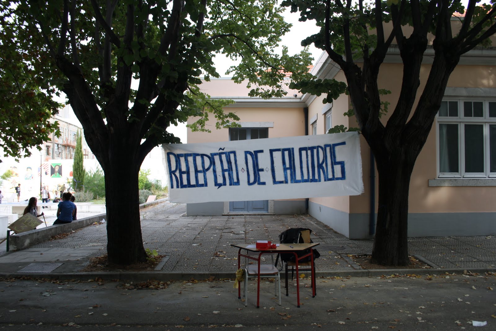 Associação de Estudantes da Escola Secundária de Camões