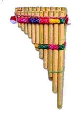 La hermosura del norte chileno: Instrumentos Zona Norte