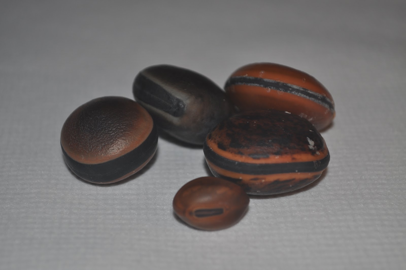 Van den Oever naar Aruba, is maar 8000 kilometer.....: Lucky Beans?