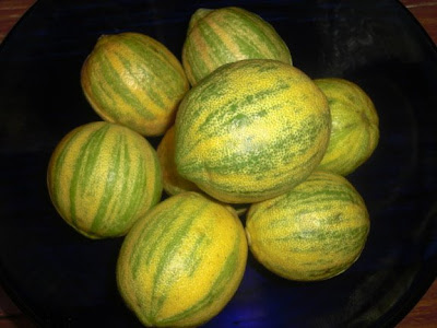 Kahakai Kitchen: "Zebra Lemon"-Ginger Lemonade--A "Simple Saturday Sipper"