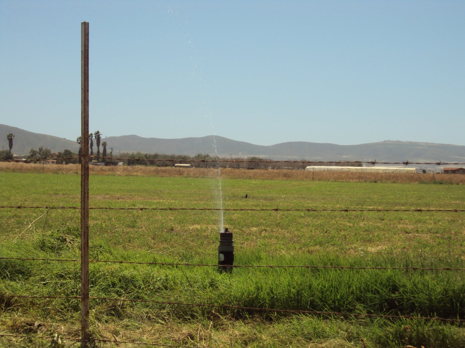 Verdespectiva: El agua en el valle de Maneadero