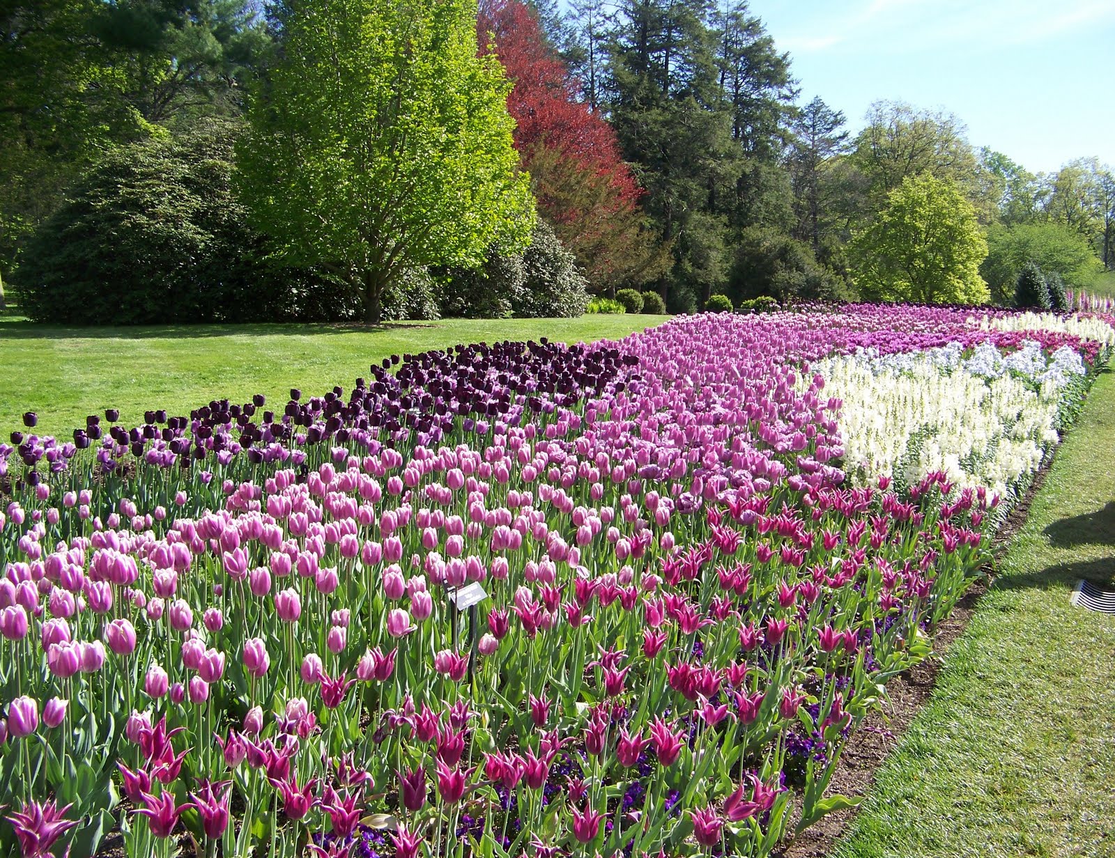Jersey Shore Journal: Longwood Gardens in Springtime