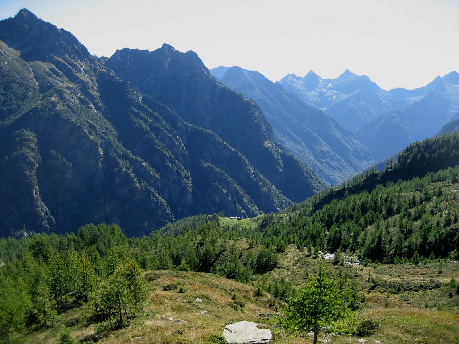 Gedankensplitter: Froda