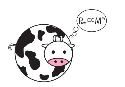 Notes from Two Scientific Psychologists: Assume the Cow is a Sphere
