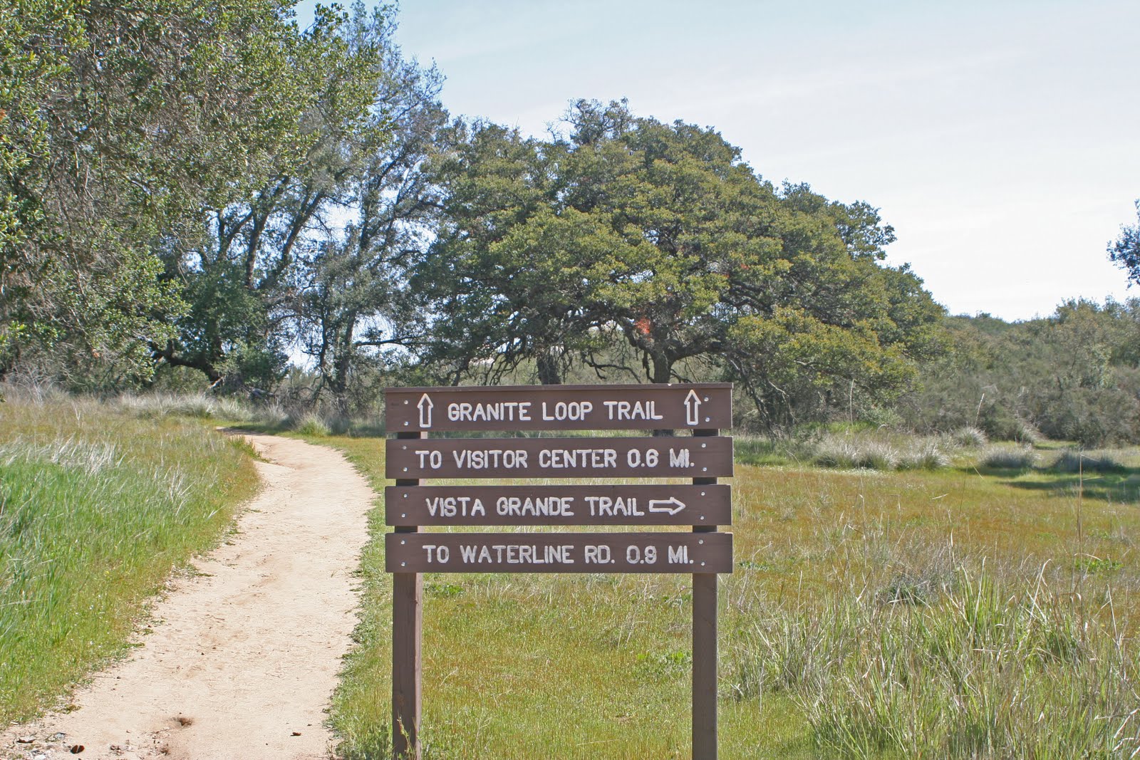Camissonia's Corner: Treks on the Santa Rosa Plateau: Vista Grande ...